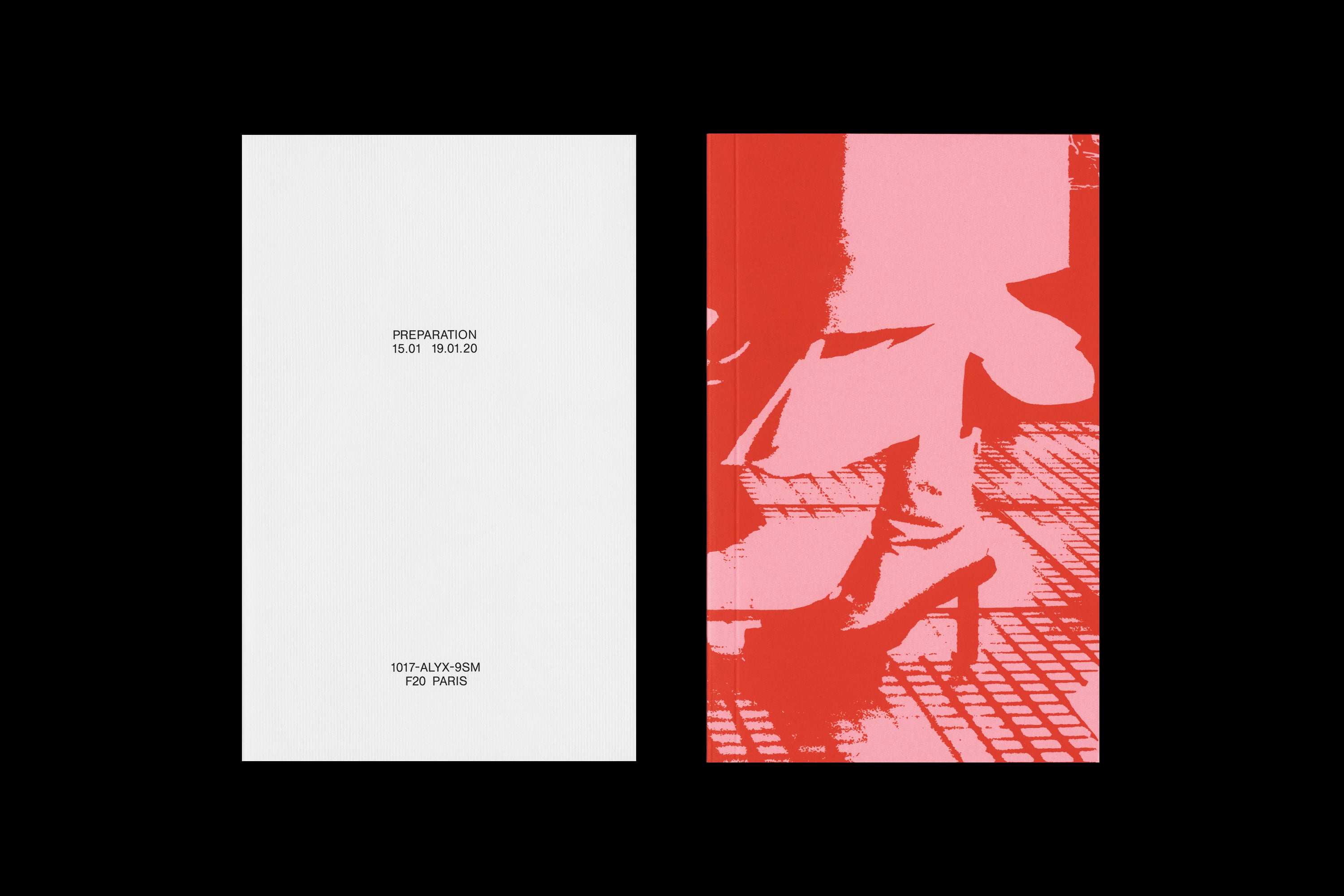 Preparation F20 – InOtherWords